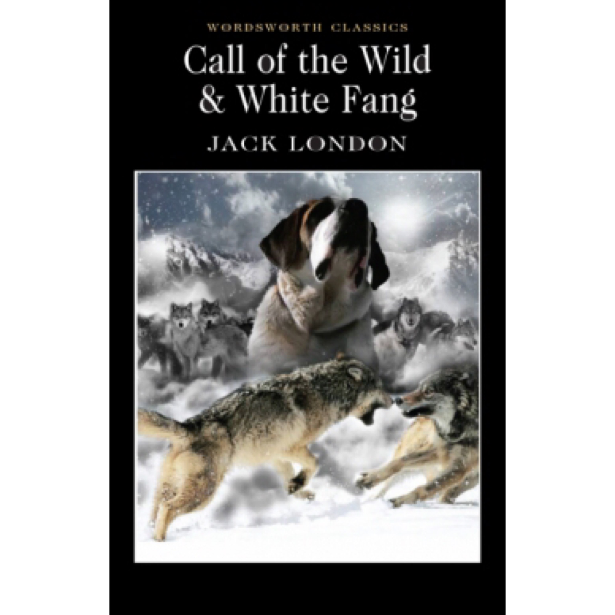 NewBookSale | The Call of the Wild & White Fang